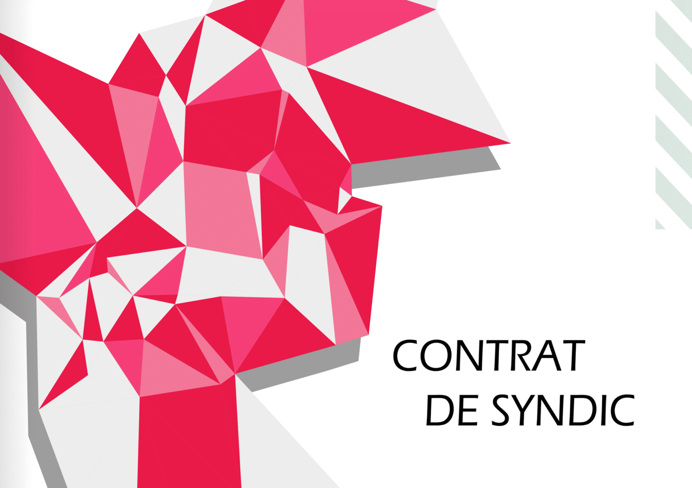 LE CONTRAT DE SYNDIC - RCSI